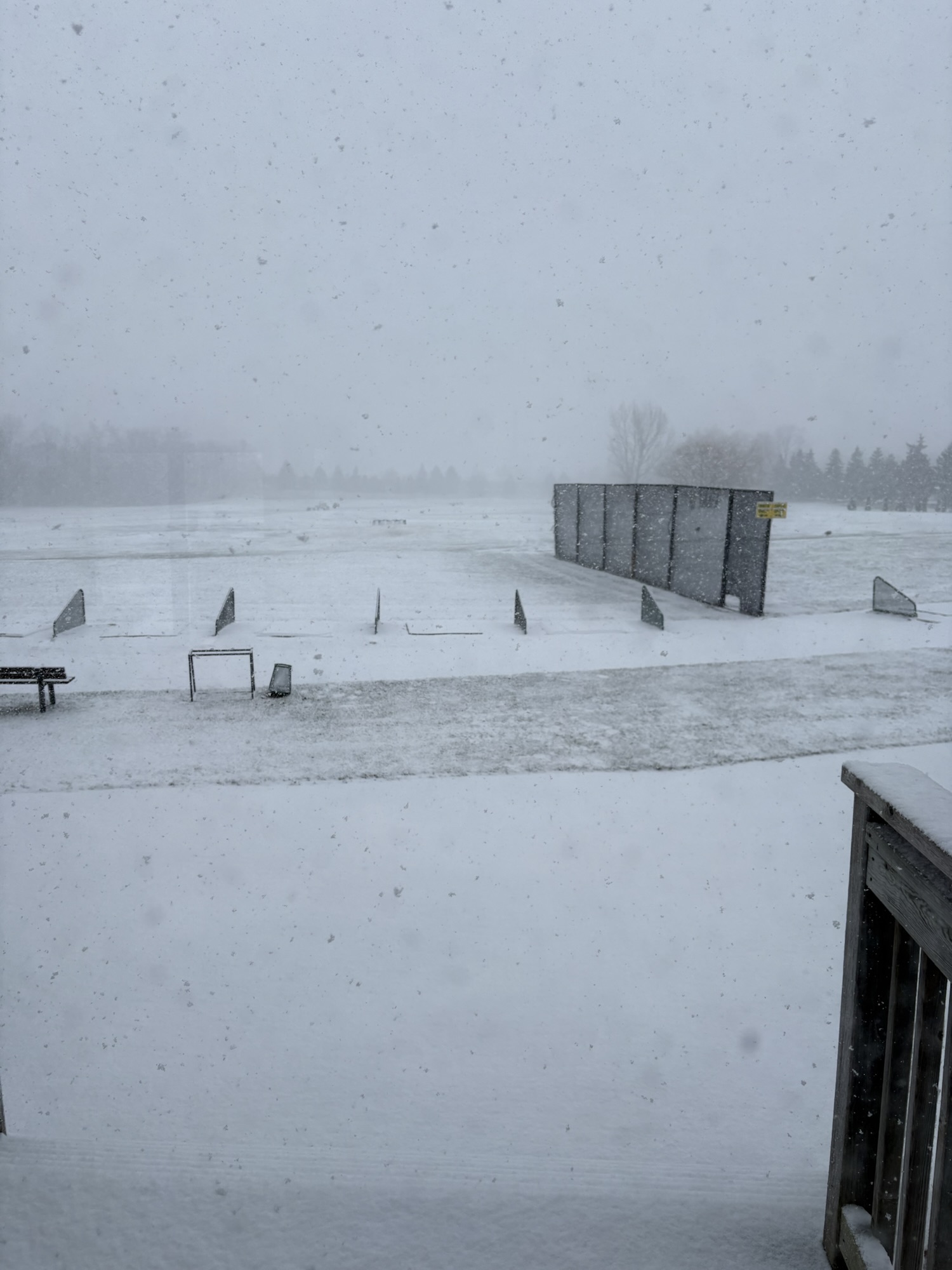 Snow, snow, go away! - Wedges 'N Woods
